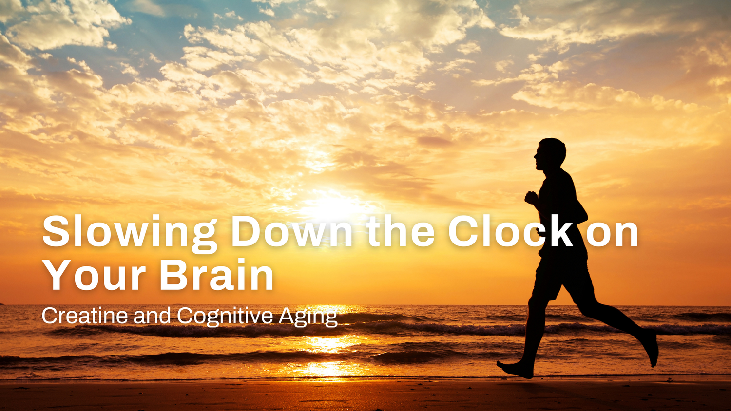 Creatine and Cognitive Aging: Slowing Down the Clock on Your Brain ...
