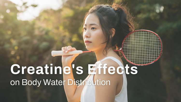 Hydration Status: Navigating Creatine's Effects on Body Water Distribu ...