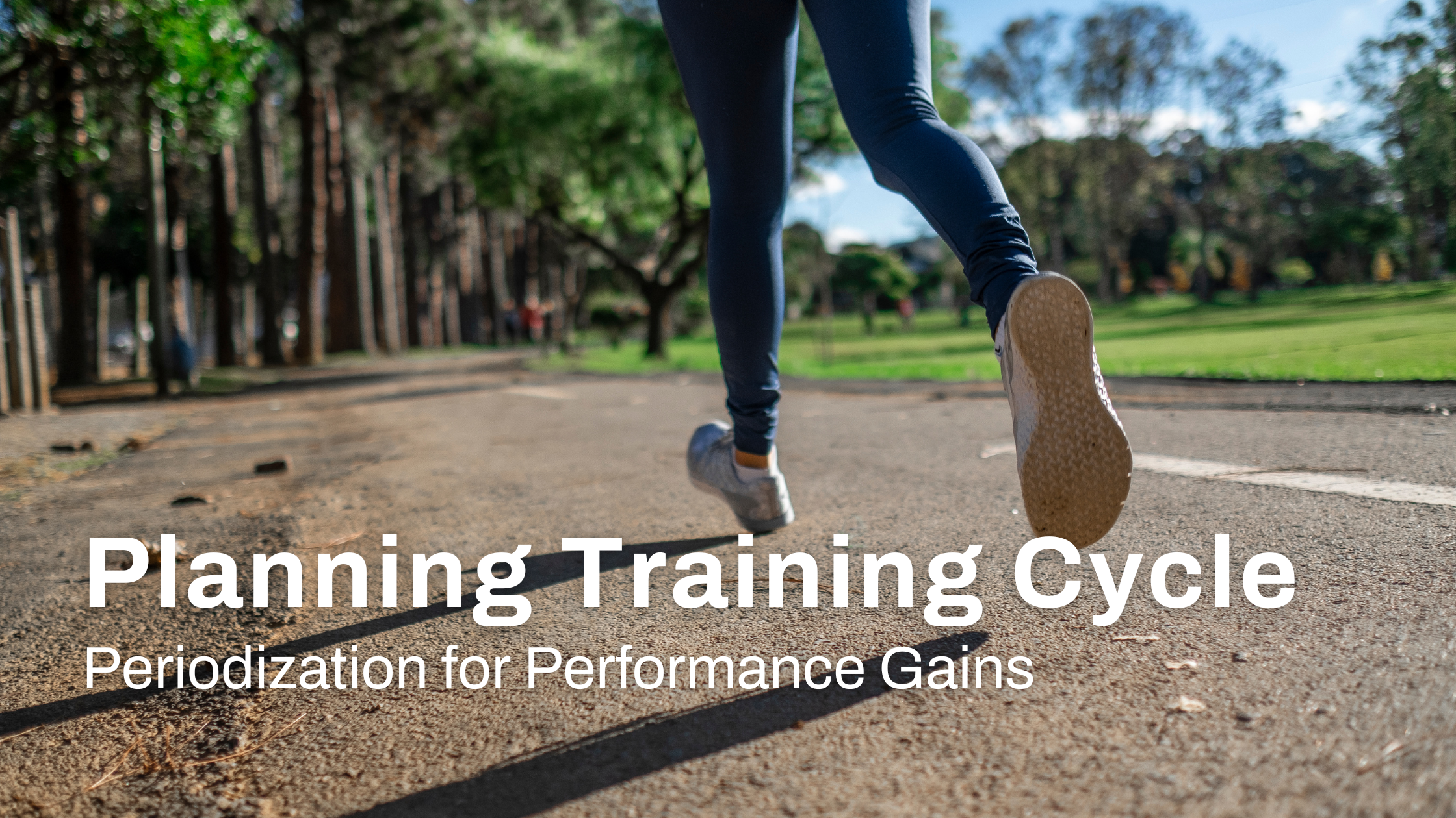 Periodization: Strategically Planning Training Cycles for Optimal Perf ...